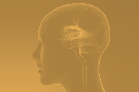 About Hydrocephalus :: Christoph Miethke GmbH & Co. KG