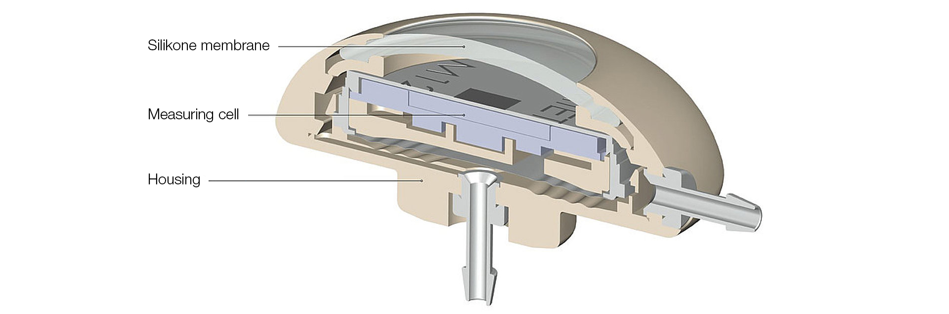 M.scio: Reading inner values | MIETHKE